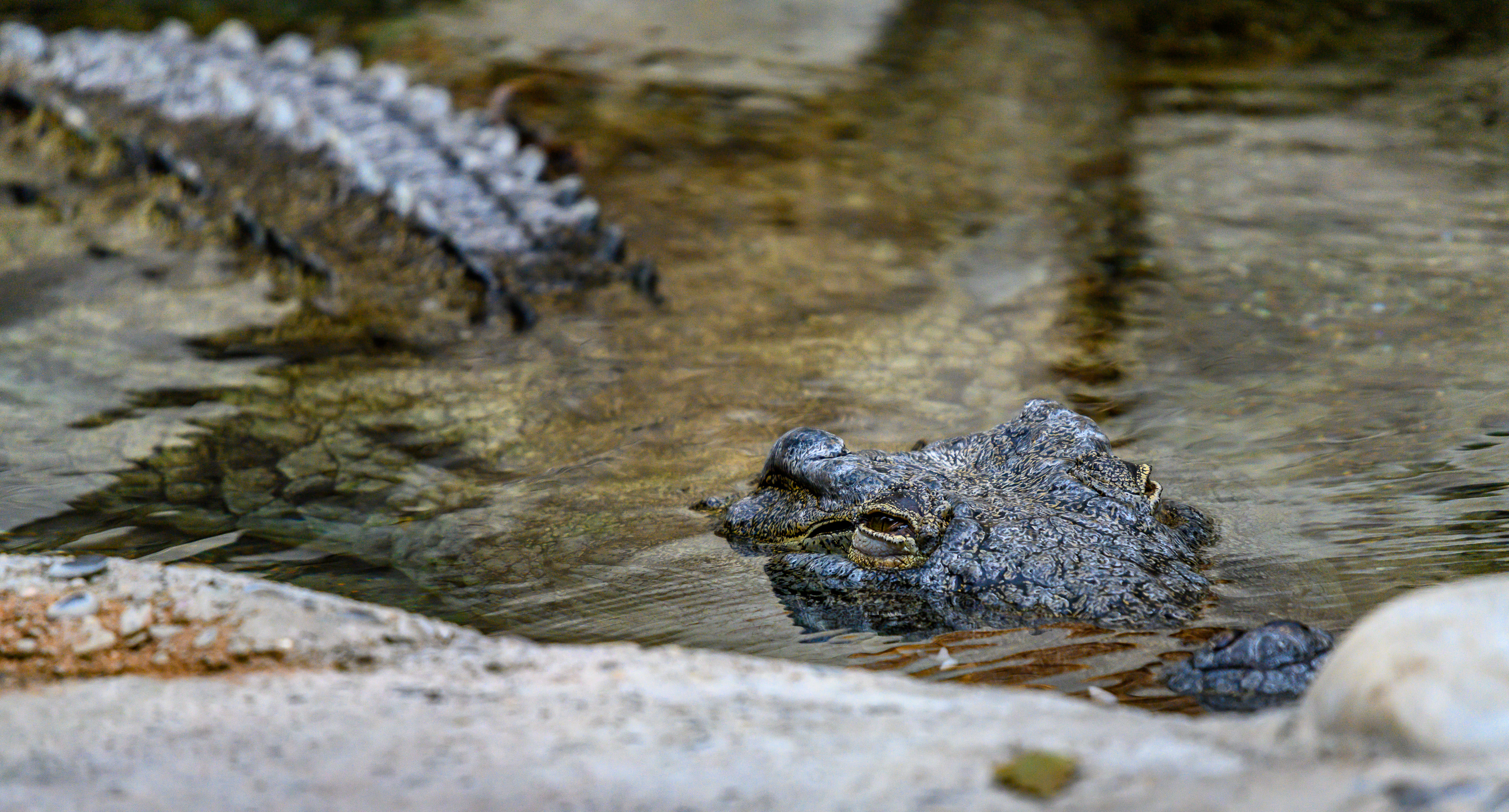 Zoo Basel – Zolli – Seite 4 – boskop fotografie